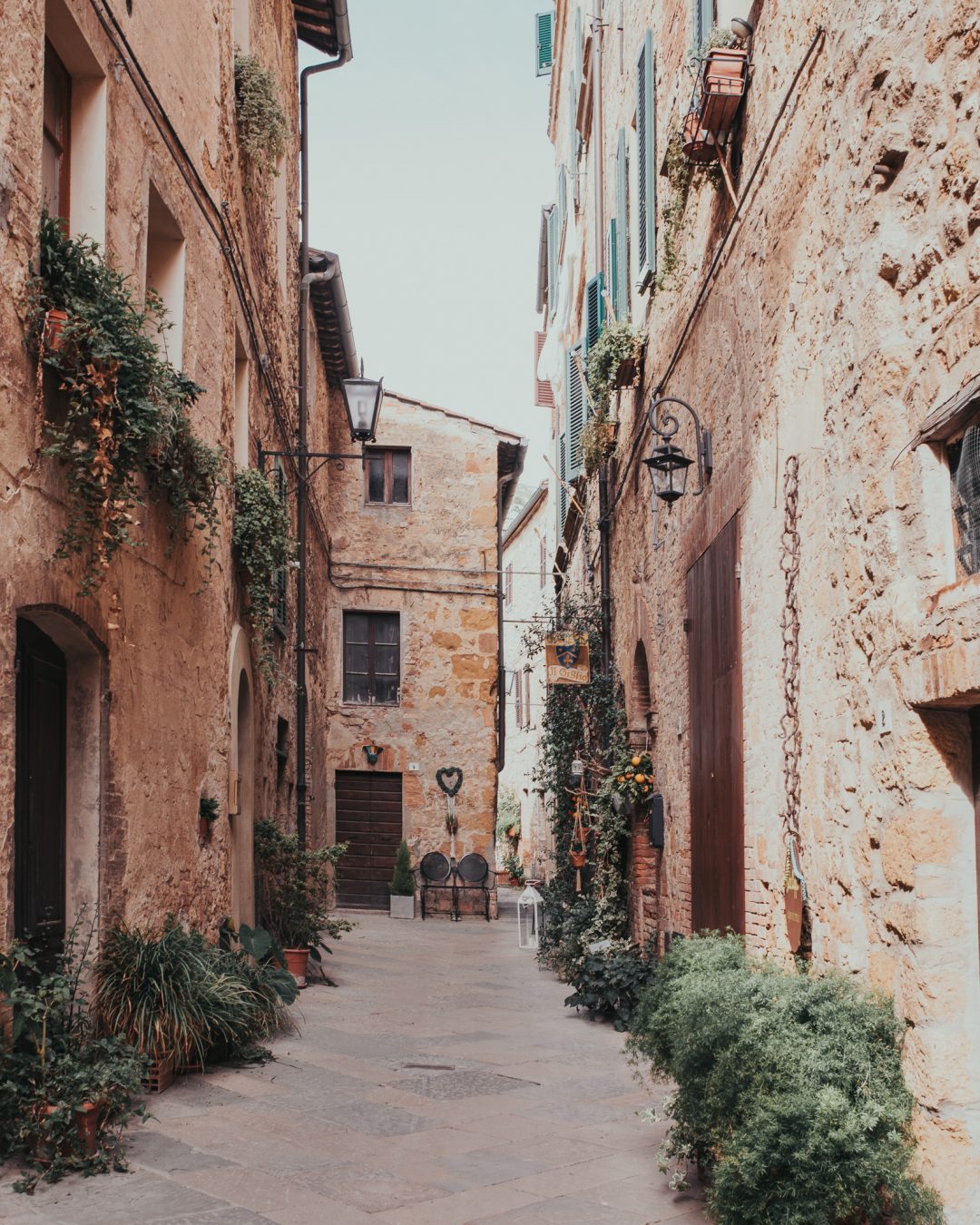 Diaries of a Tuscan Sun – The Good Old-Fashioned